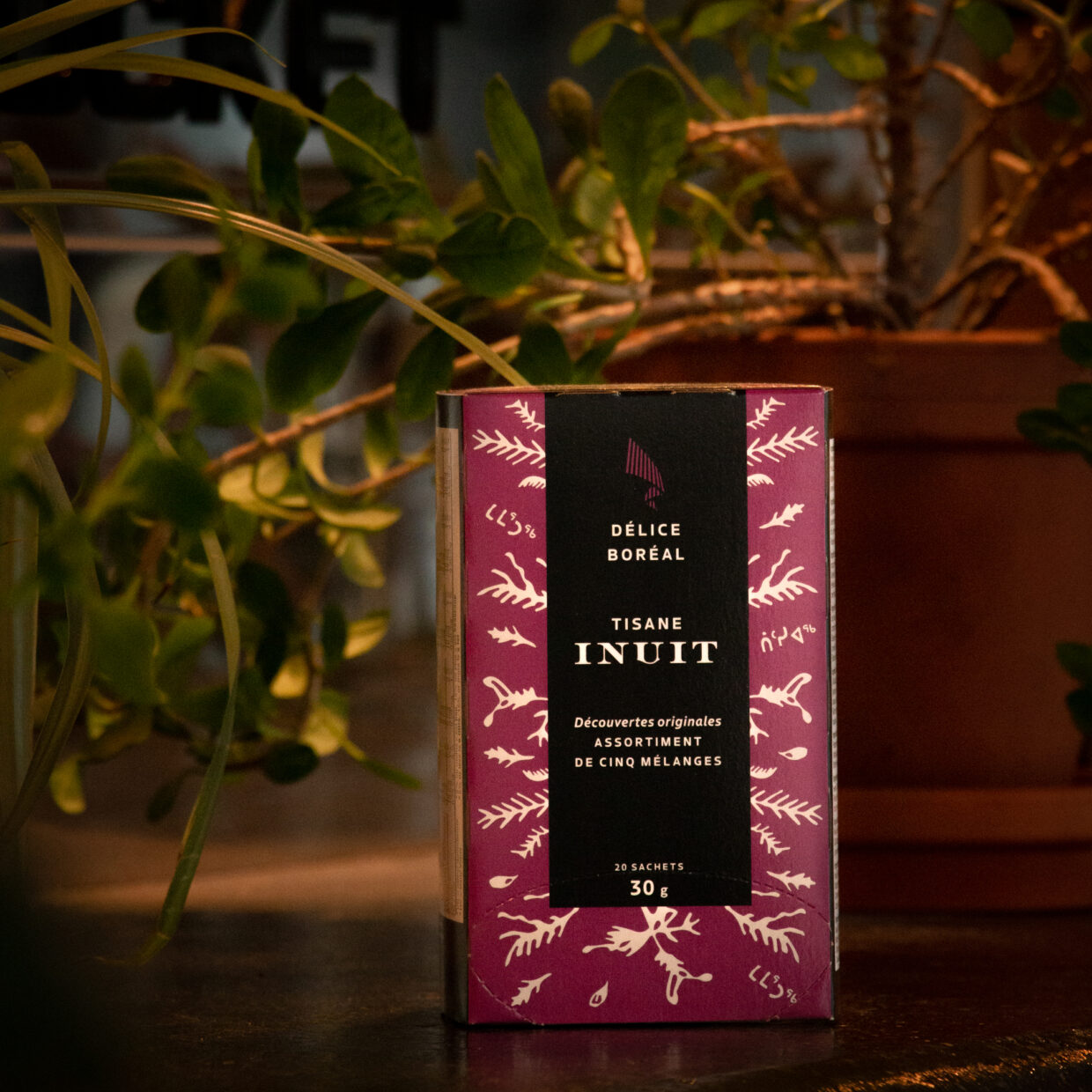 Tisane Inuit - Assortiments 5 saveurs - boîte de 20 sachets - Café Cambio